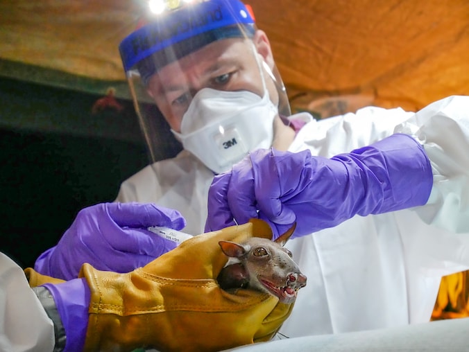 Nederlandse viroloog in VS aangeklaagd voor invoer mpox-virus | Nieuws ...