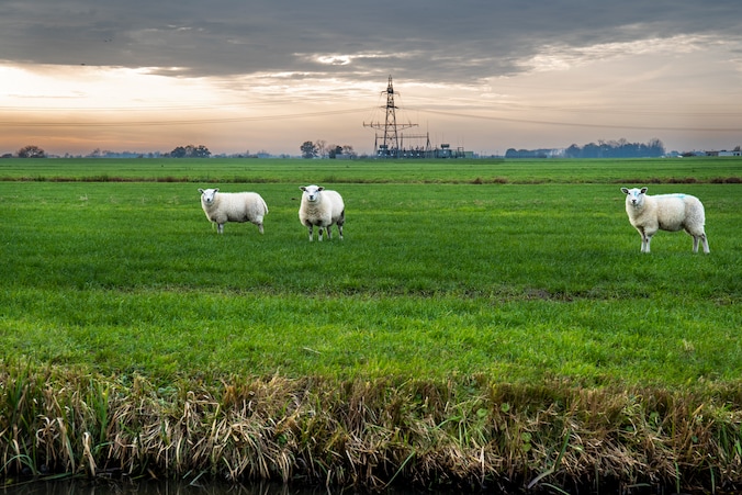 De polder verdwijnt, Utrecht schuift op: dit betekenen de plannen van ...