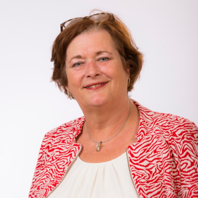Berenschot: Wethouder Visser handelde integer in vergunningsproces op ...