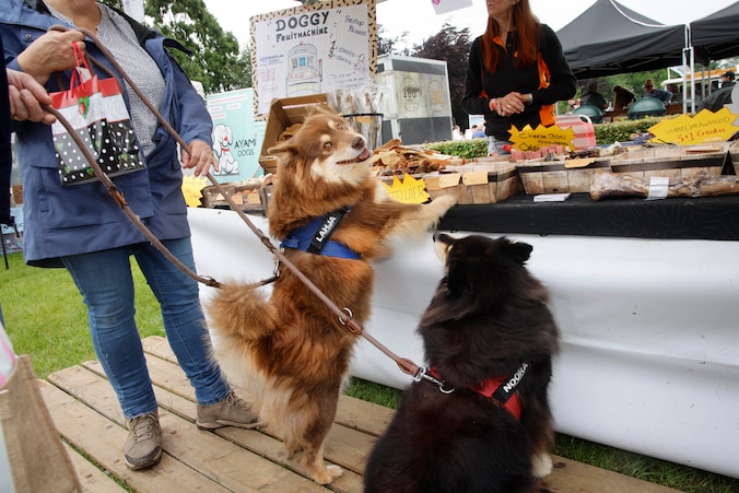 Bark in the Park strijkt neer bij Kasteel Groeneveld in Baarn | Regio ...