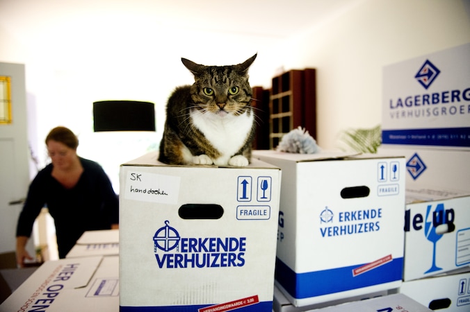 Aantal inwoners Breda afgelopen jaar gegroeid, gemeente populair bij ...