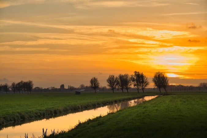 Leeuwenkop na twee jaar terug op St. Bavodijk met informatiebord ...