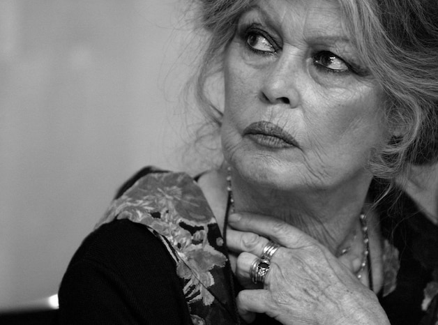 Actrice en ‘icoon der iconen’ Brigitte Bardot op 91-jarige leeftijd ...