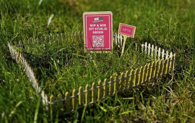 Nederweert zet in op vergroening met NK Tegelwippen | Regio | AD.nl