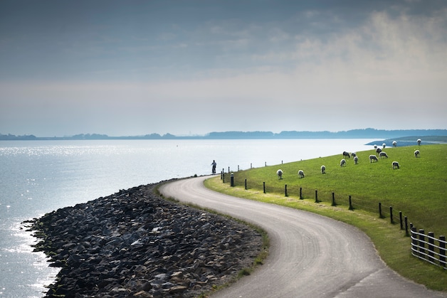 Aafke Boven over haar eiland Ameland: ‘De een vindt slib vies ruiken ...