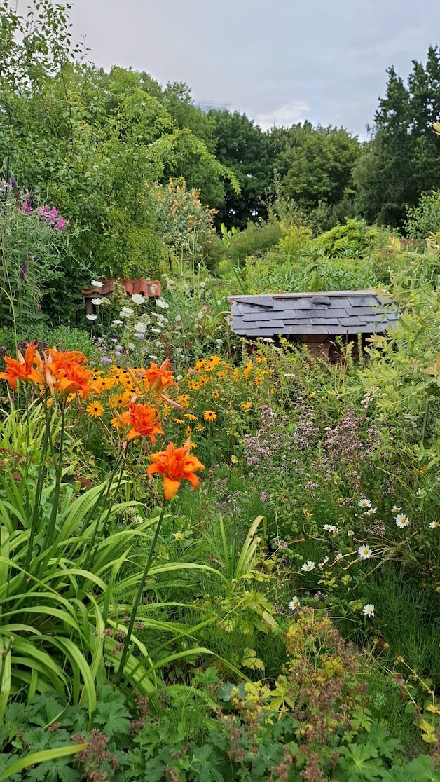 Elly en Mariëlle delen een tuin en hun mannen tuinieren gezellig mee ...