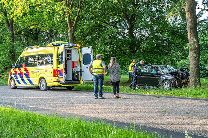 Bestuurder gewond na botsing met boom in Elsloo | Regio | AD.nl