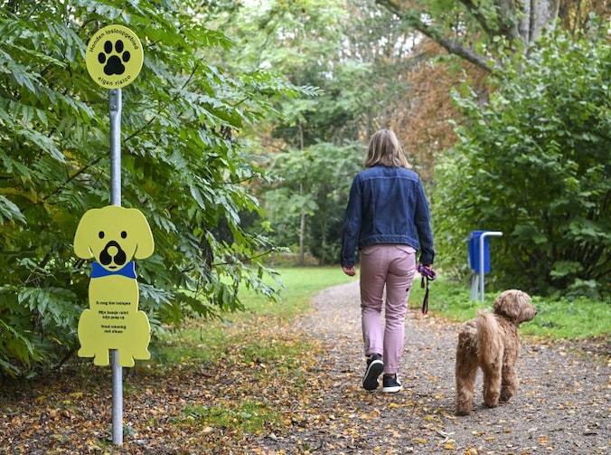 Barendrecht bekroond als meest hondvriendelijke gemeente | Regio | AD.nl