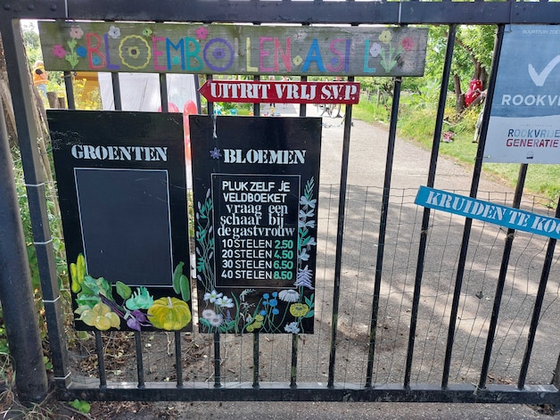 In de pluktuin van De Zoete Aarde knip je je eigen veldboeket (video ...