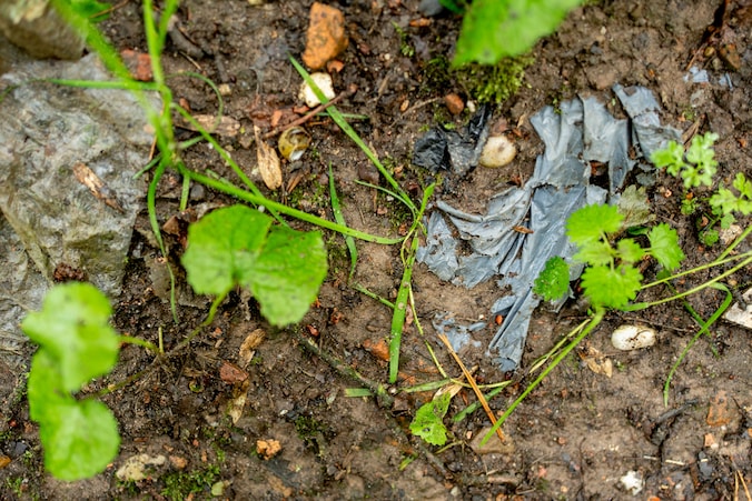 Oud afval komt omhoog op de Wijchense Berg, nu is het tijd voor een ...