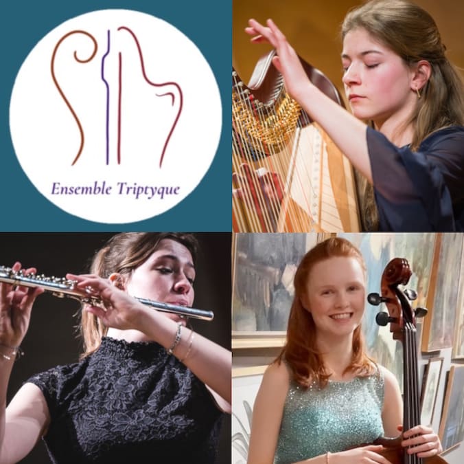 Concert met fluit, harp en cello in Veenendaal | Regio | AD.nl