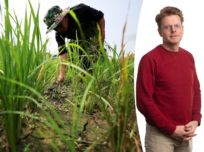 Waarom een ‘super-El Niño’ op komst is en wat dat kan betekenen voor ...