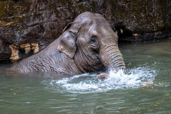 LIVE hitte | Opvallend vroeg 30 graden aangetikt in Brabant, pretpark ...