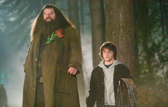 Acteur Robbie Coltrane, Hagrid in Harry Potter, op 72-jarige leeftijd ...