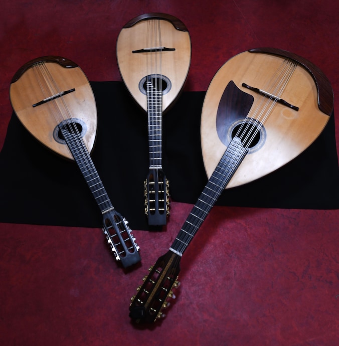Mandolinevereniging Capriccio treedt op bij De Duinhuisjes in Rockanje ...