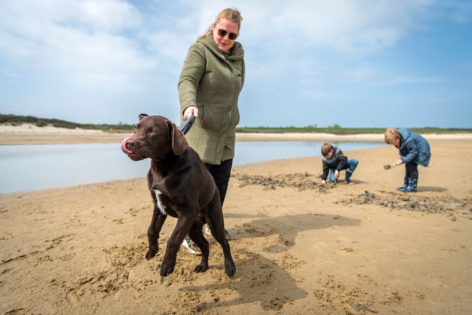 Zomerregels voor honden op stranden Vlissingen bekend | Regio | AD.nl
