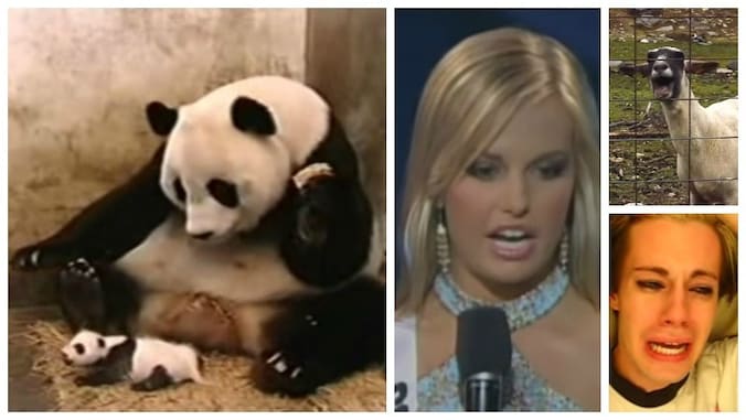10 jaar YouTube in 10 leuke filmpjes | Tech | AD.nl
