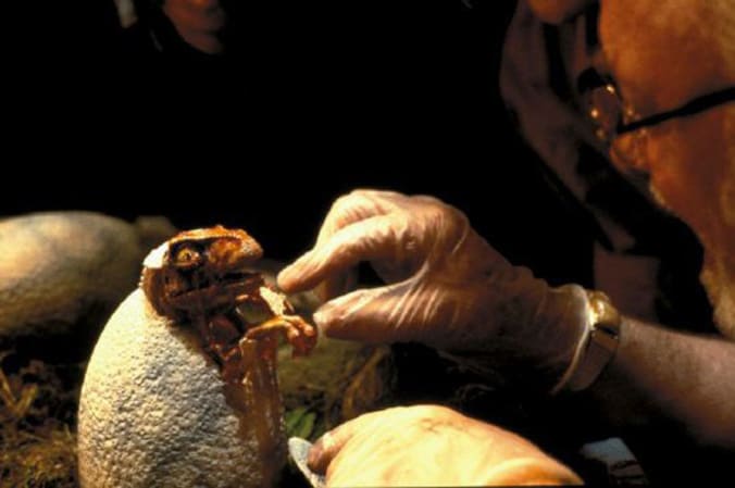 Jurassic Park zal nooit realiteit worden | Nieuws | AD.nl