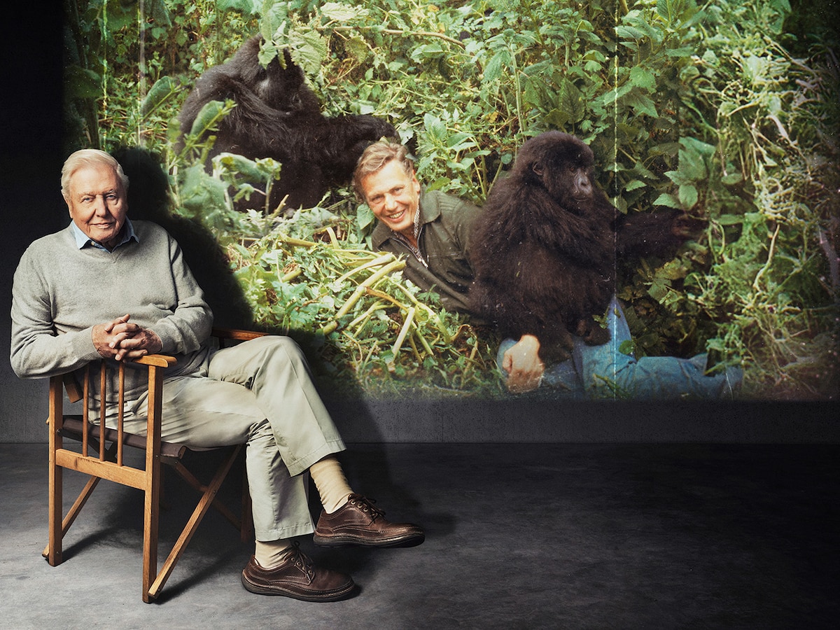 Obama zenuwachtig, Queen smelt: zeven momenten die David Attenborough ...