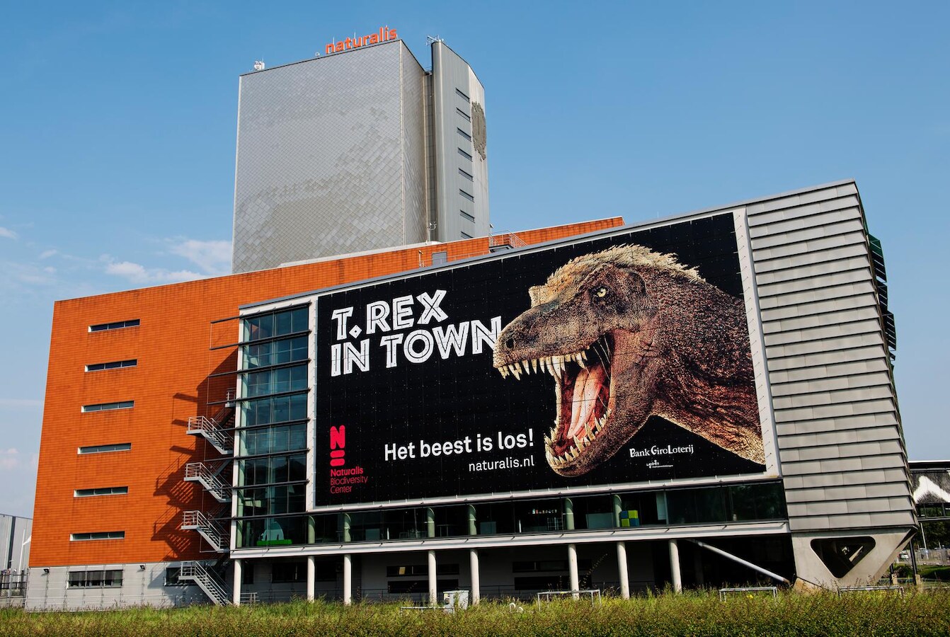Bot voor bot komt T.rex Trix weer tot 'leven' in Naturalis | Foto | AD.nl