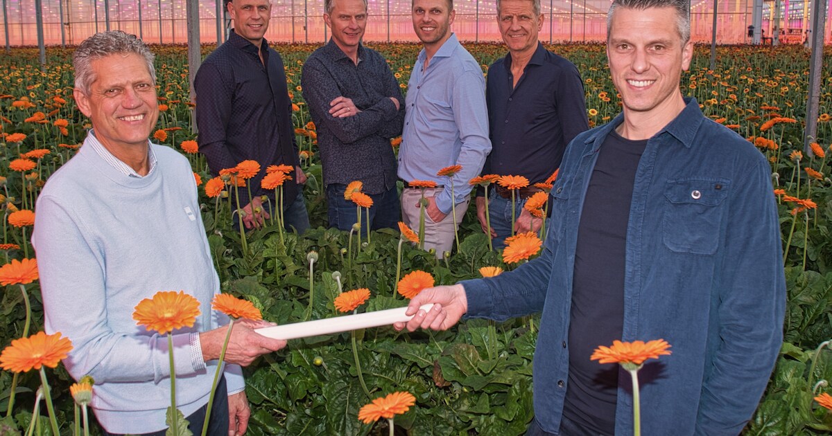 Leo van Holstein geeft na 48 jaar stokje over bij Holstein Flowers ...