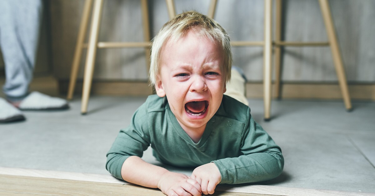 Krijsende peuter met driftbuien: wanneer is het tijd om je zorgen te ...