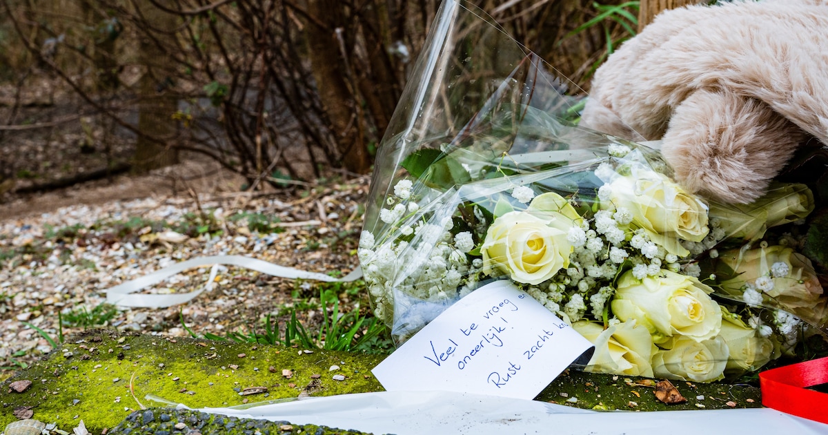 Verdachte (13) bekent doodsteken van klasgenootje: 'Hij zegt dat hij zichzelf verdedigde ...