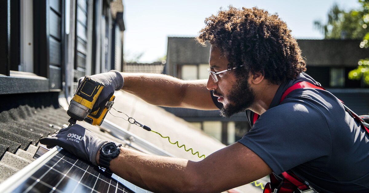 Meer zonnepanelen en meer wind op zee: voor het eerst is helft in Nederland opgewekte stroom ...