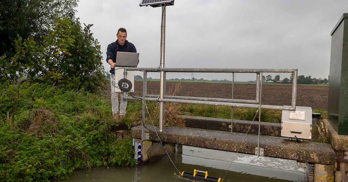 Delfland zet extra stappen om waterkwaliteit te verbeteren: ‘Urgentie ...