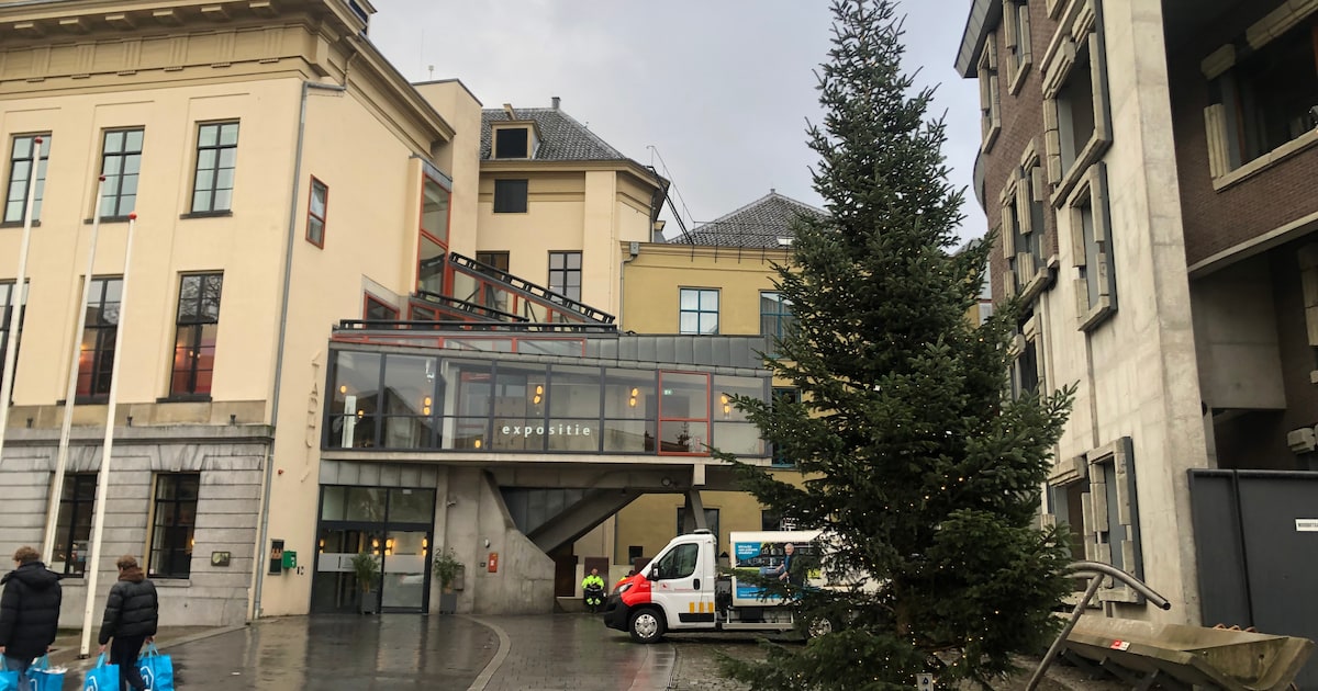 Grote kerstboom voor het Utrechtse stadhuis straks verleden tijd? ‘Ecologisch onverantwoord ...