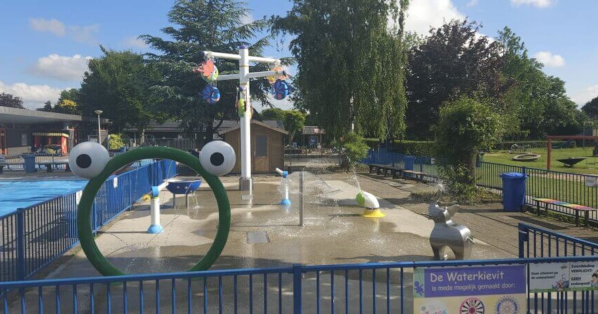 Waterkievit bij speeltuin De Kievit in Berkel & Rodenrijs vanaf deze ...