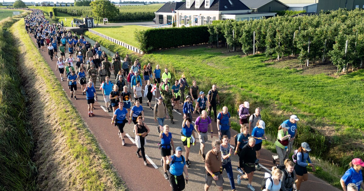 Bernheze deelt speciale shirts uit aan wandelaars Nijmeegse Vierdaagse ...