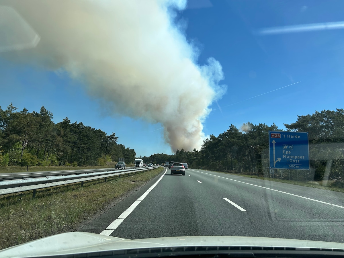 LIVE | Grote natuurbrand op artillerieterrein bij ’t Harde, A28 ...