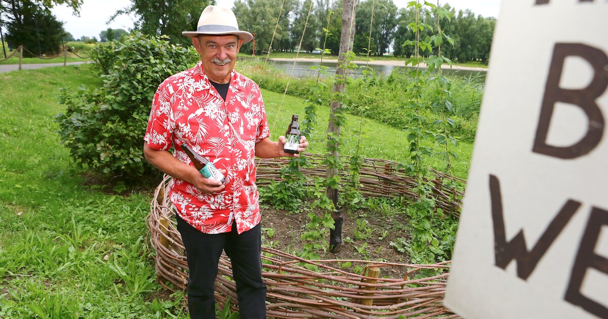 Het bruist in Altena: ‘We hebben nog nooit zoveel bier op het eiland ...