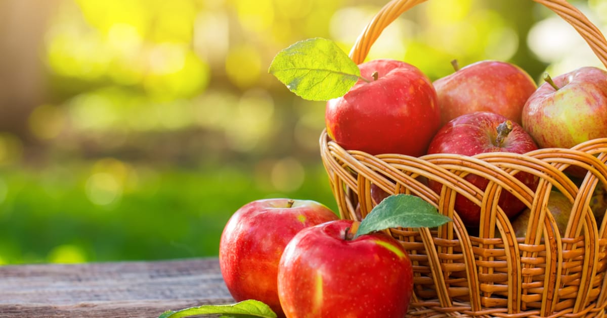 Dit is waarom je eigenlijk de hele appel zou moeten eten | Koken & Eten ...