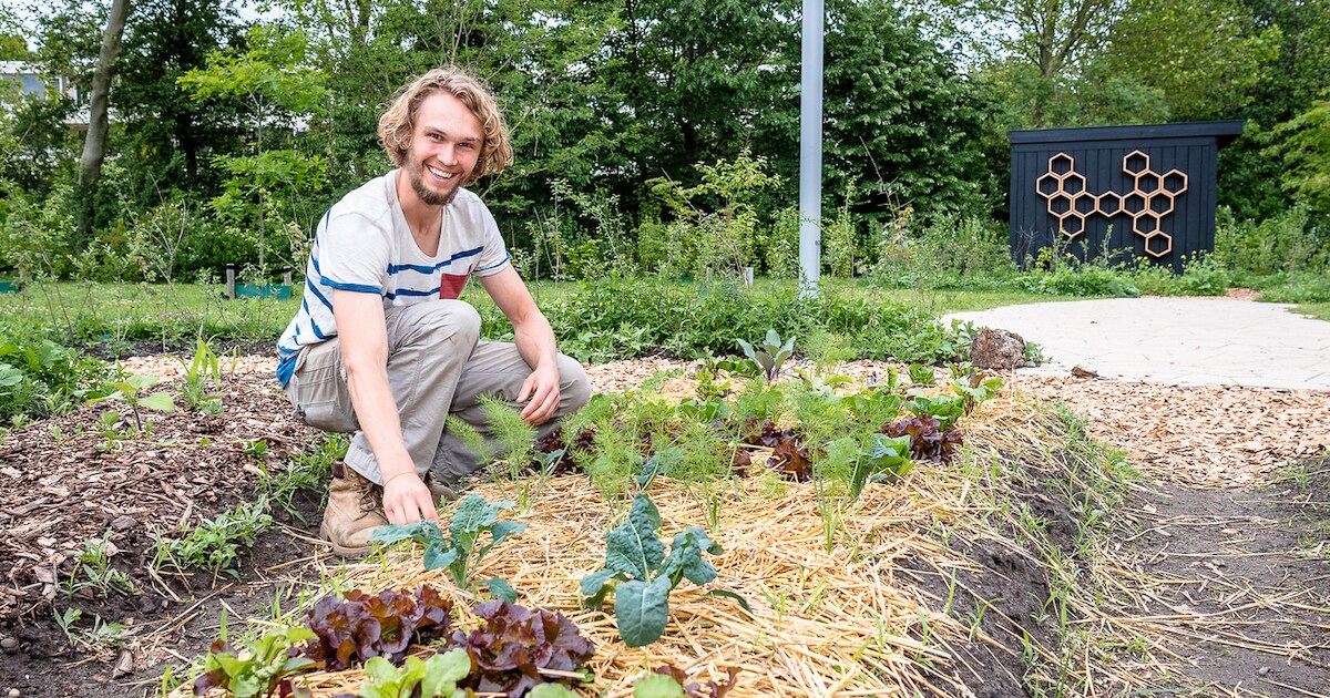 Bob ter Haar is de nieuwe stadsdichter van Wageningen | Regio | AD.nl