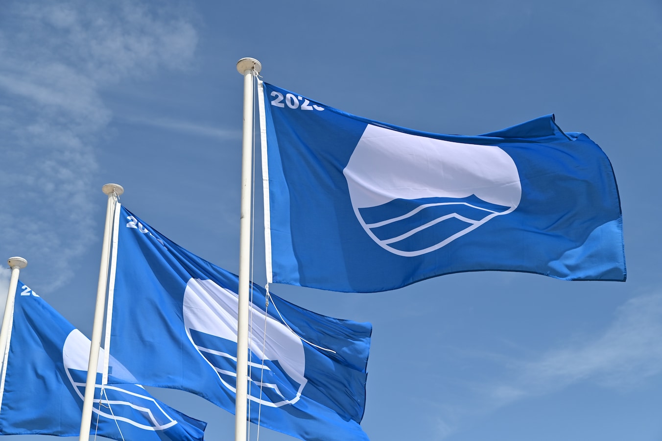 Westlandse stranden opnieuw beloond met Blauwe Vlag | Foto | AD.nl