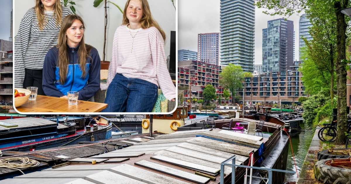 Studenten Eefje, Tess en Laura vonden dé oplossing na stroeve ...