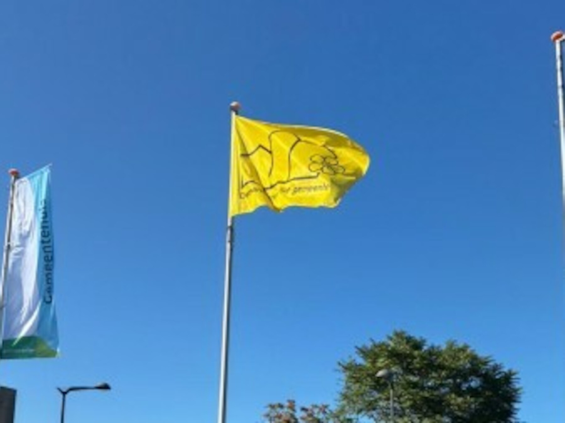 De ‘happy art’ van Ton gaat de hele wereld over: ‘Ik doe alleen nog wat ...