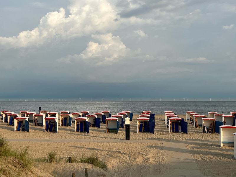 Het zeewater bij Katwijk was afgelopen zomer voor het eerst in veertien ...