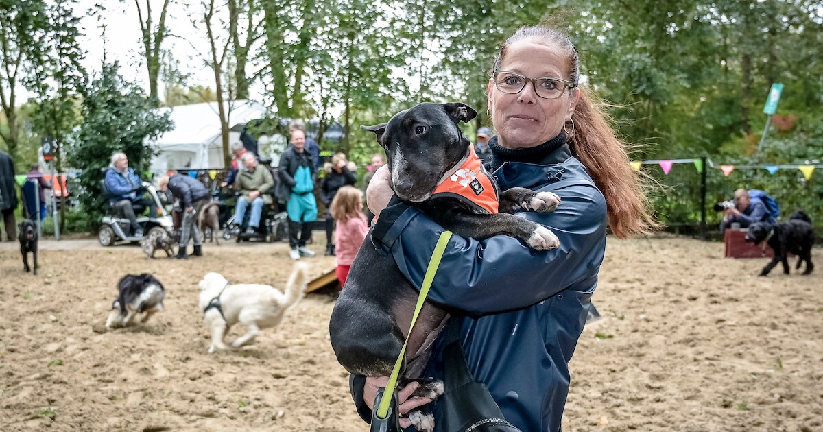 Hondenspeeltuin met dubbel doel: ‘Ook sociale pleisterplaats’ | Capelle ...