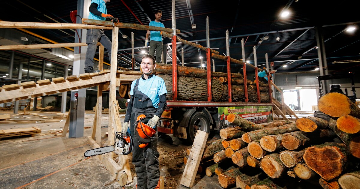Crossen in een écht bos, maar dan met een dak erop | Utrecht | AD.nl