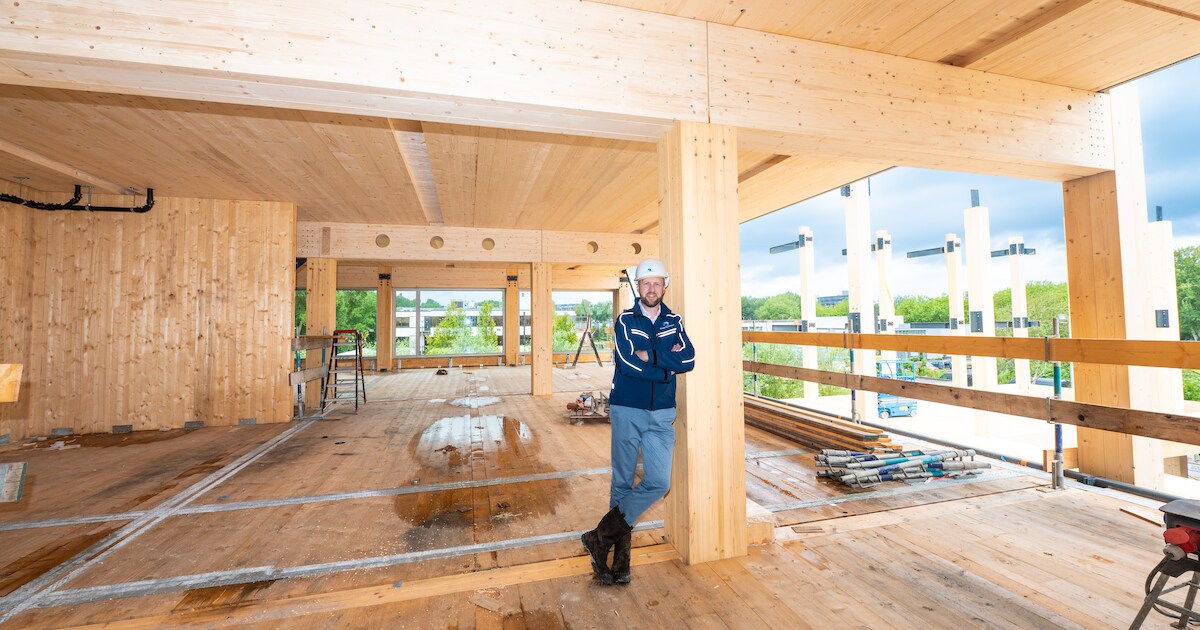 Niet steen, beton en staal, maar hout steeds meer gekozen constructie ...
