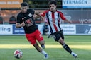 IJsselmeervogels moet aan de bak in strijd om lijfsbehoud na ‘zure ...