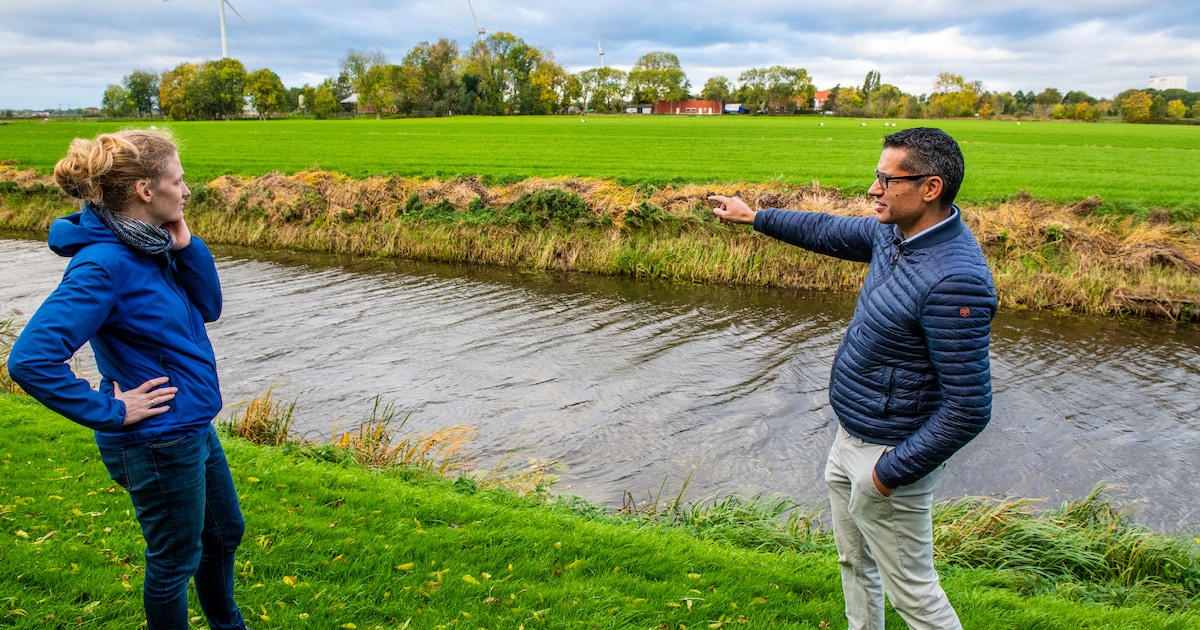In rustige polder verrijst stroomverdeelstation, tot afgrijzen van ...