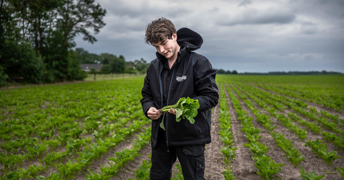 Boer Peter (24) over Europese landbouw: ‘Je wil niet afhankelijk zijn ...