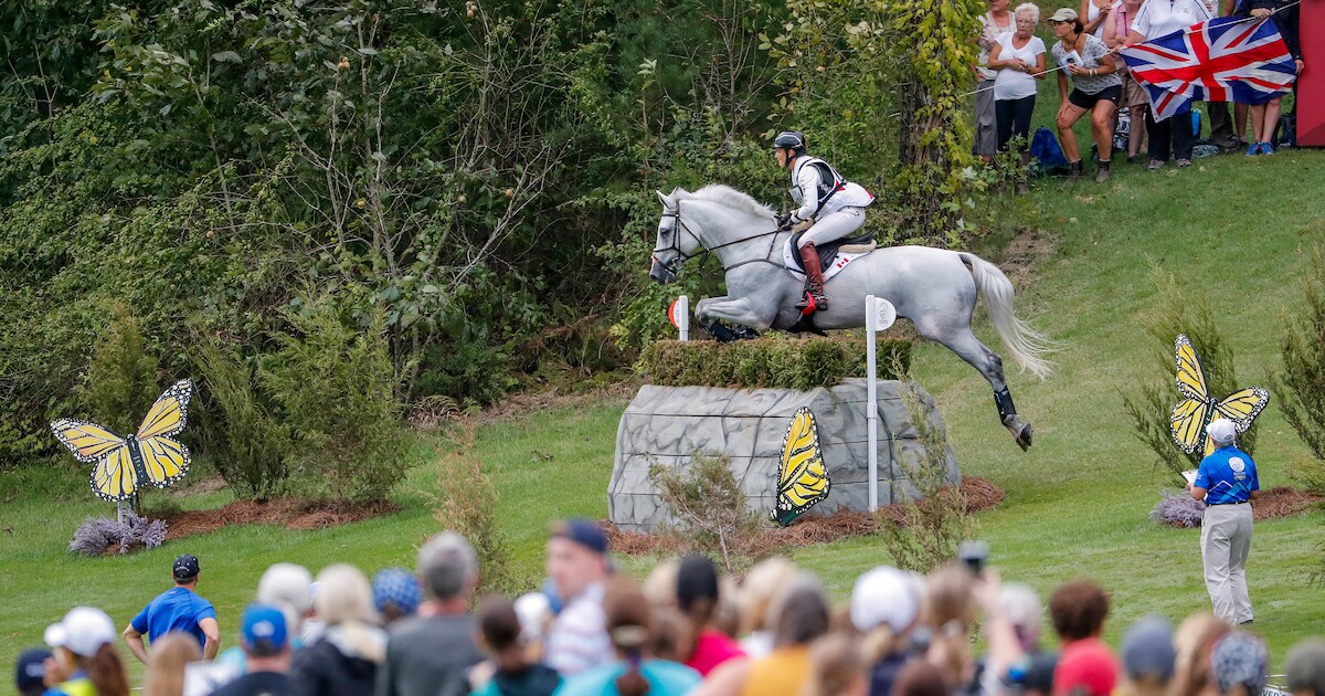 Tweede dode paard bij Wereldruiterspelen | Andere sporten | AD.nl