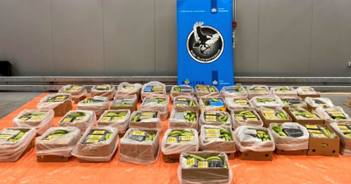Douane heeft weer beet: 700 kilo coke in container met bananen ...