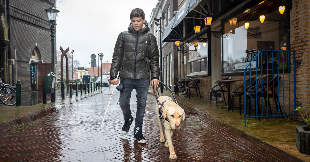 Doodsangsten bij ouders, bestuurders negeren blinde Djan en rijden ...