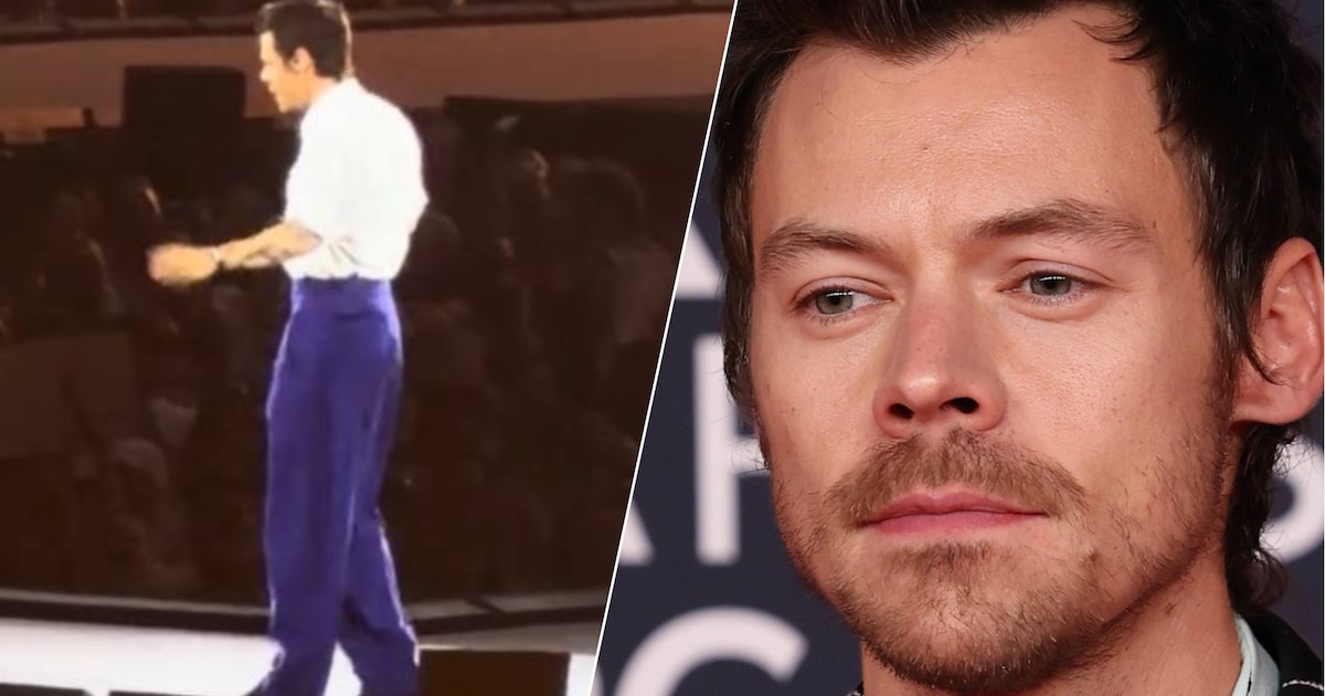Harry Styles legt show in Arena stil voor fan die vooraan onwel wordt ...